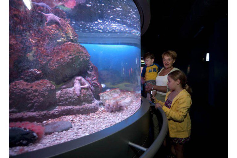 National Mississippi River Museum & Aquarium - Dixon Studios, LLC